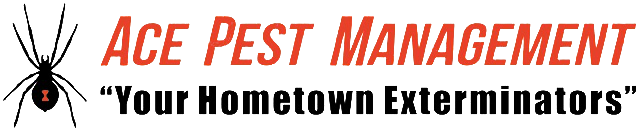 Account Registration